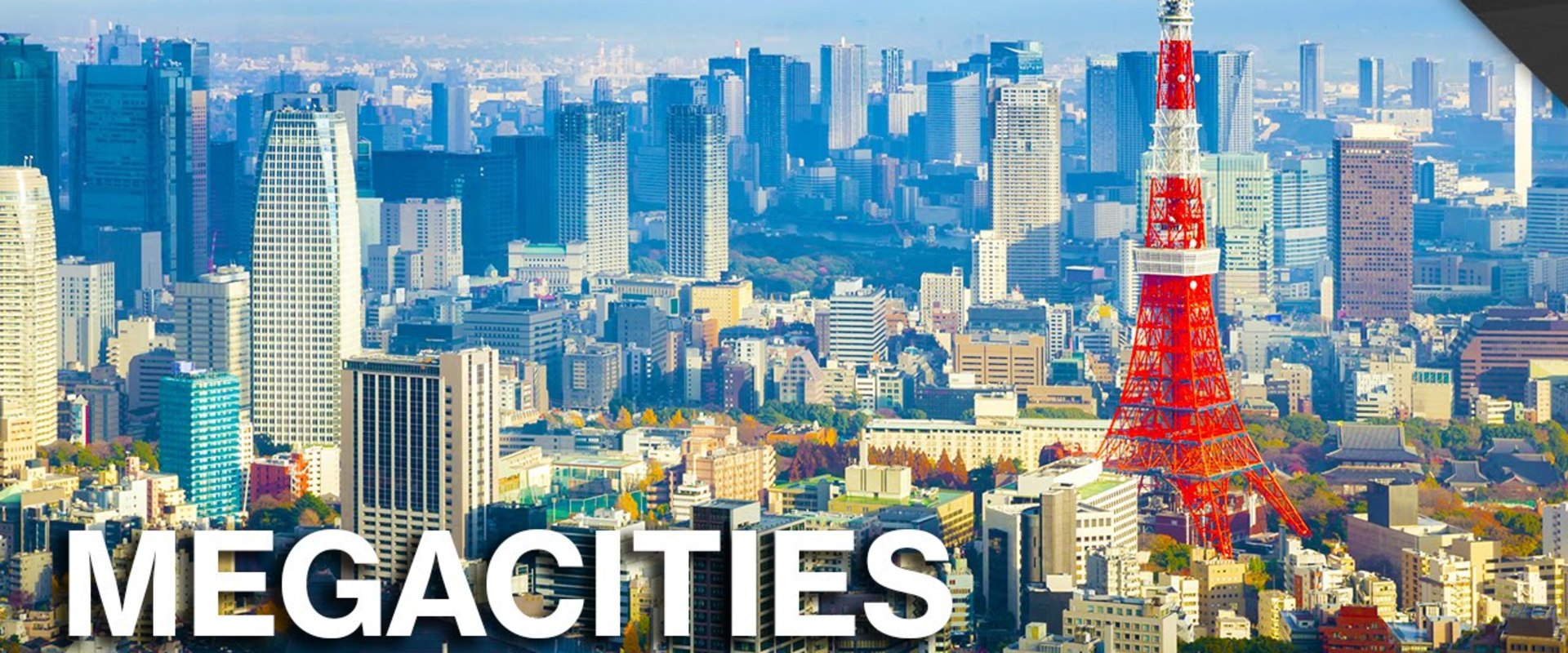 Understanding Megacities: Exploring the Differences Between Global ...